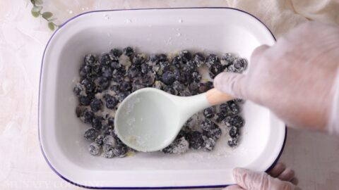 Southern Blueberry Cobbler