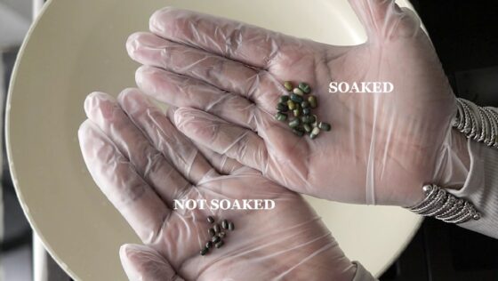 Easy Dal Makhani Recipe Everyone Will Love